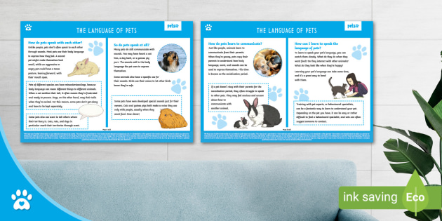 The Language of Pets - Infographic - Twinkl Pets