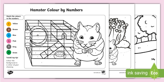 FREE! - Hamster Colour by Number Pages (teacher made)