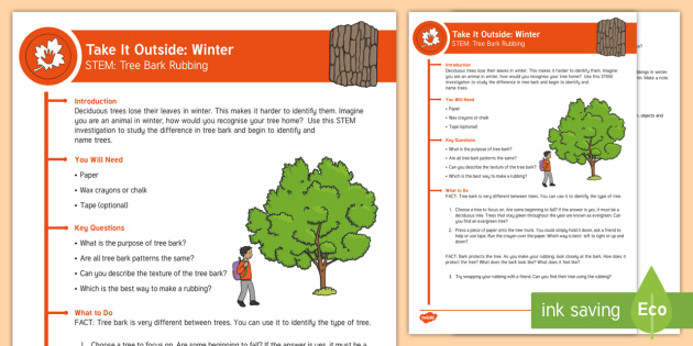 * NEW * Tree Bark Rubbing STEM Activity and Resource Pack