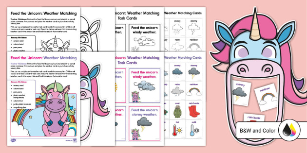 Feed the Unicorn Weather Sensory Bin Activity (teacher made)