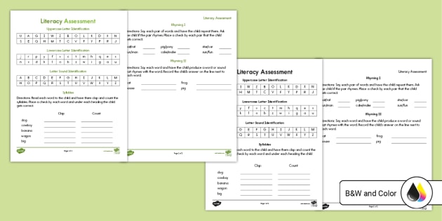 Literacy Assessment Progress Sheet (Teacher-Made)