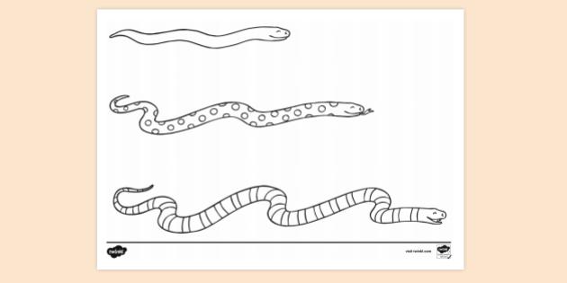 FREE! - Printable Colouring Page Of Snakes | Colouring Sheets
