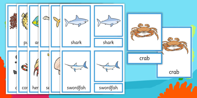 Under the Sea Three Part Cards (teacher made)