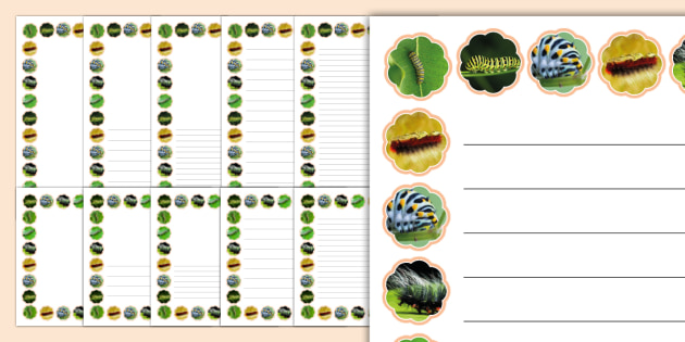 Caterpillar Education • Twinkl.com.au