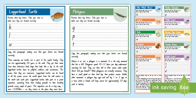 Animal Handwriting Cards (teacher made)