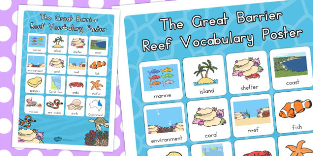 Great Barrier Reef Vocabulary Poster - australia, vocabulary