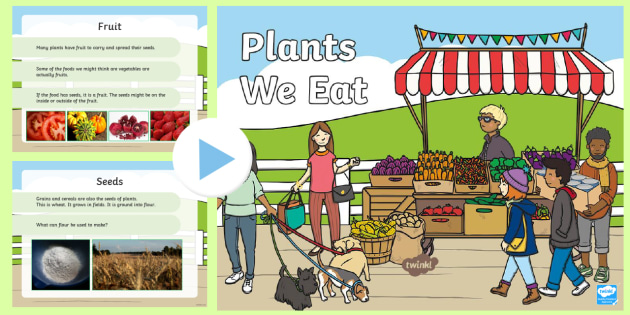Ages 5-7 Plants We Eat Information PowerPoint (teacher made)