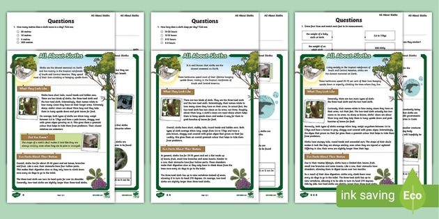 LKS2 All About Sloths Reading Comprehension Activity