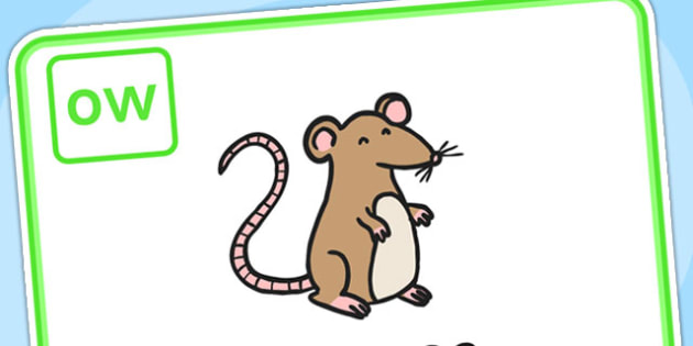 Alternative Spellings for ow Display Poster (teacher made)