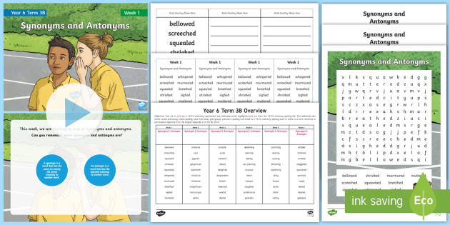 Year 6 Term 3B Week 1 Spelling Pack (teacher made)