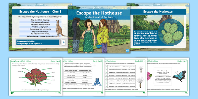 Y5 Living Things and Their Habitats Escape the Room Game