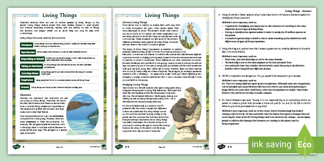 UKS2 Living Things and their Habitats Differentiated Reading Comprehension