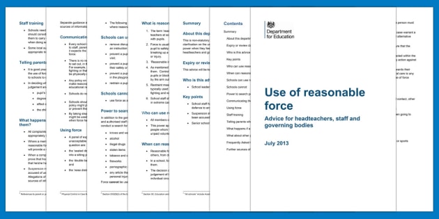 FREE! - DfE Use of Reasonable Force Adult Guidance
