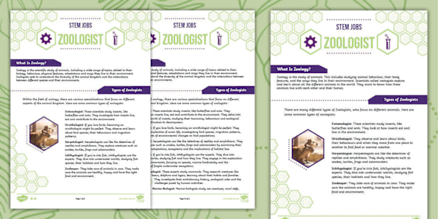 Zoologist At Work