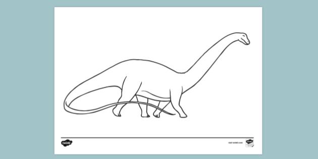 FREE! - Apatosaurus Colouring | Colouring Sheet