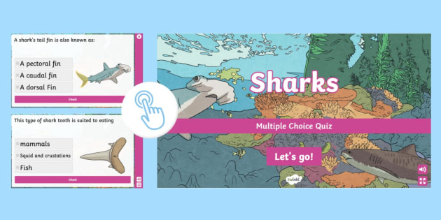 Shark Quiz - Multiple Choice - Twinkl South Africa