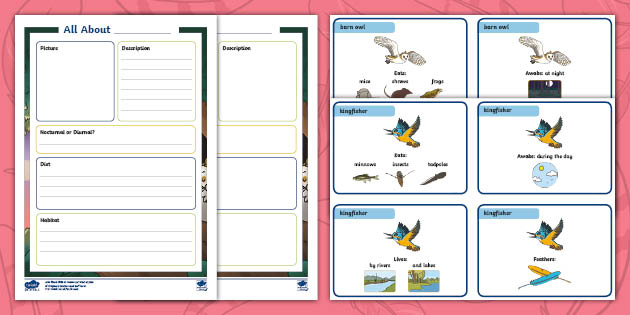 KS1 Birds Fact File Non-Fiction Writing Activity