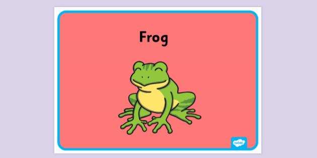 FREE! - Frog Poster for Kids | Display Poster | Primary Resources