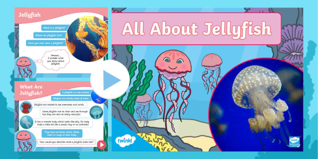 All About Jellyfish PowerPoint |Twinkl (teacher made)