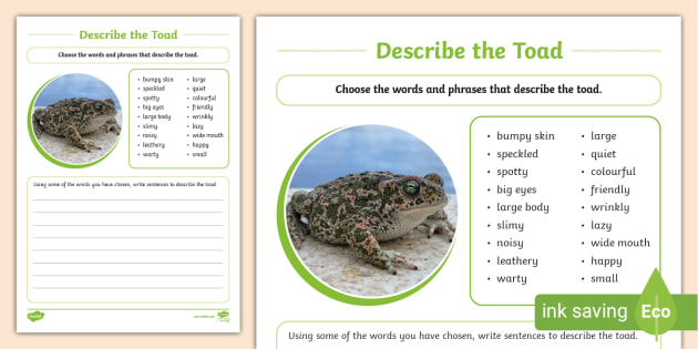 * NEW * Describe the Toad Writing Activity (teacher made)