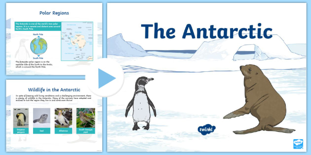 The Antarctic Polar Region CfE Second Level PowerPoint