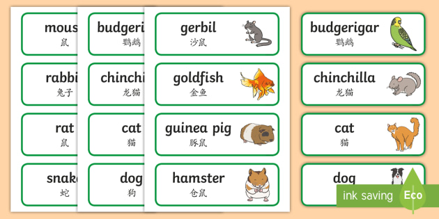 Pets Topic Word Cards English/Mandarin Chinese