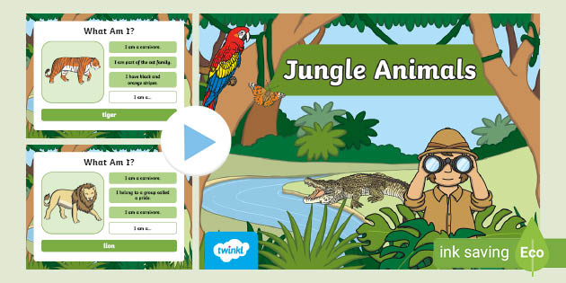 Jungle Animal PowerPoint (Teacher-Made)