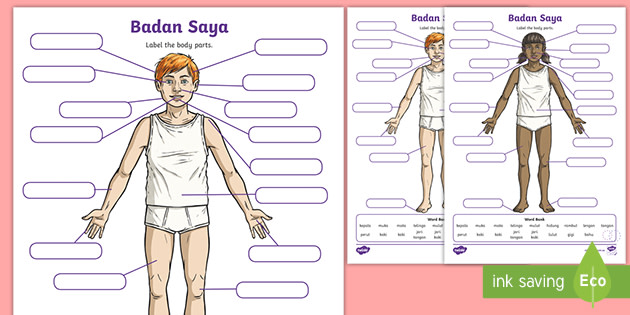 Indonesian My Body Labelling Activity