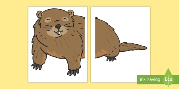 Large Groundhog Template Cut-Out | Groundhog Day | Twinkl