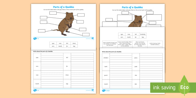 * NEW * Parts of a Quokka Worksheets