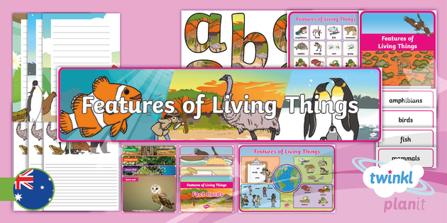Year 1 Science Feature of Living Things Additional Resources