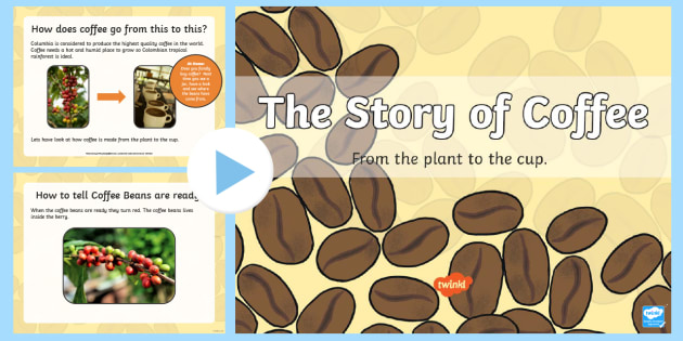 The Story of Coffee PowerPoint - food , coffee, coffee bean