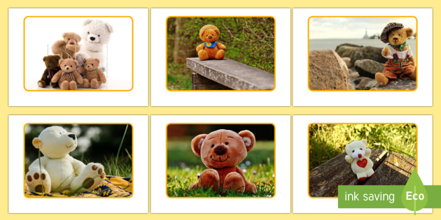 Teddy Bear Display Photos
