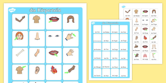 die Körperteile Vocabulary Matching Mat German