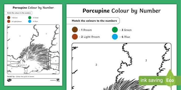 FREE! - Porcupine Colour by Number Activity (Teacher-Made)