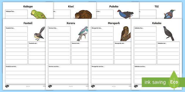 NZ Native Birds Activities Sheet (teacher made)