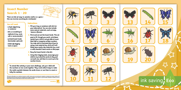Insect Number Search Activity (1 - 20) (teacher made)