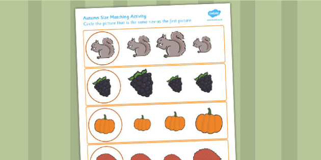 Autumn Themed Size Matching Worksheets - seasons, weather, match