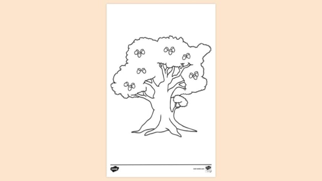 FREE! - Oak Tree with Green Leaves Colouring | Colouring Sheets