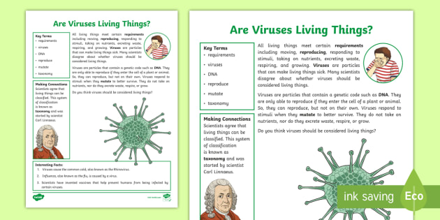 Fourth Grade Are Viruses Living Things? Fact File