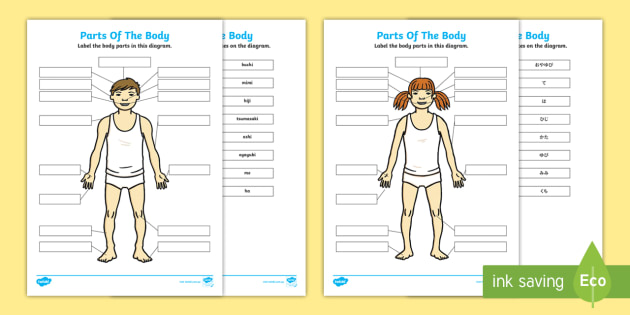 Japanese Parts of the Body Cut and Stick Worksheet