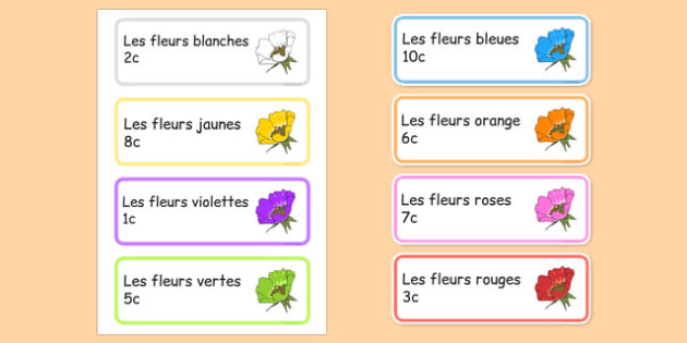 Garden Centre Labels Flowers French (teacher made)