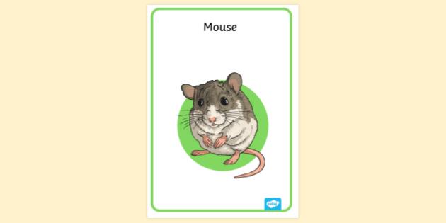 FREE! - Mouse With Cheese Display Poster | Primary Resources