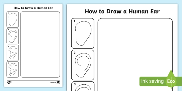 FREE! - How to Draw a Human Ear (teacher made)