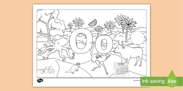 O Sound Phonics Resources | twinkl.co.uk