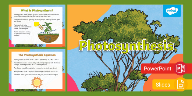 Ppt Photosynthesis Cellular Respiration Powerpoint Presentation