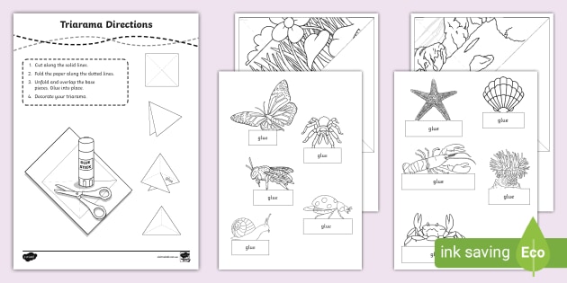 Minibeasts Triaramas (teacher made)