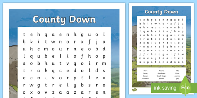 County Down Word Search (teacher made)