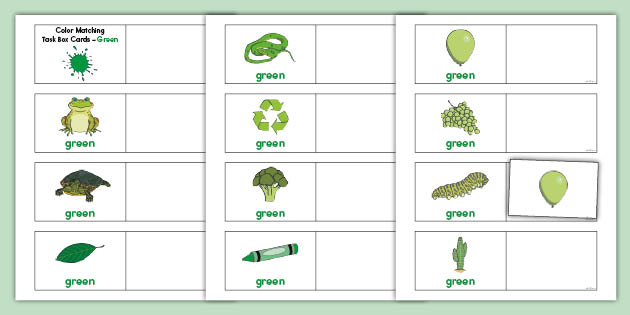 Color Matching Task Box Cards-Green (teacher made)