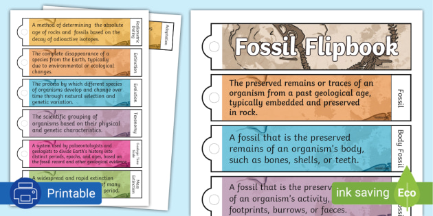 Science Flip Books | twinkl.co.uk